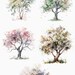 Watercolor Flowering Trees Clipart Png Watercolor Summer Blossom Tree ...