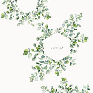 Watercolor Eucalyptus Clipart - Watercolor Greenery Clipart - Green ...