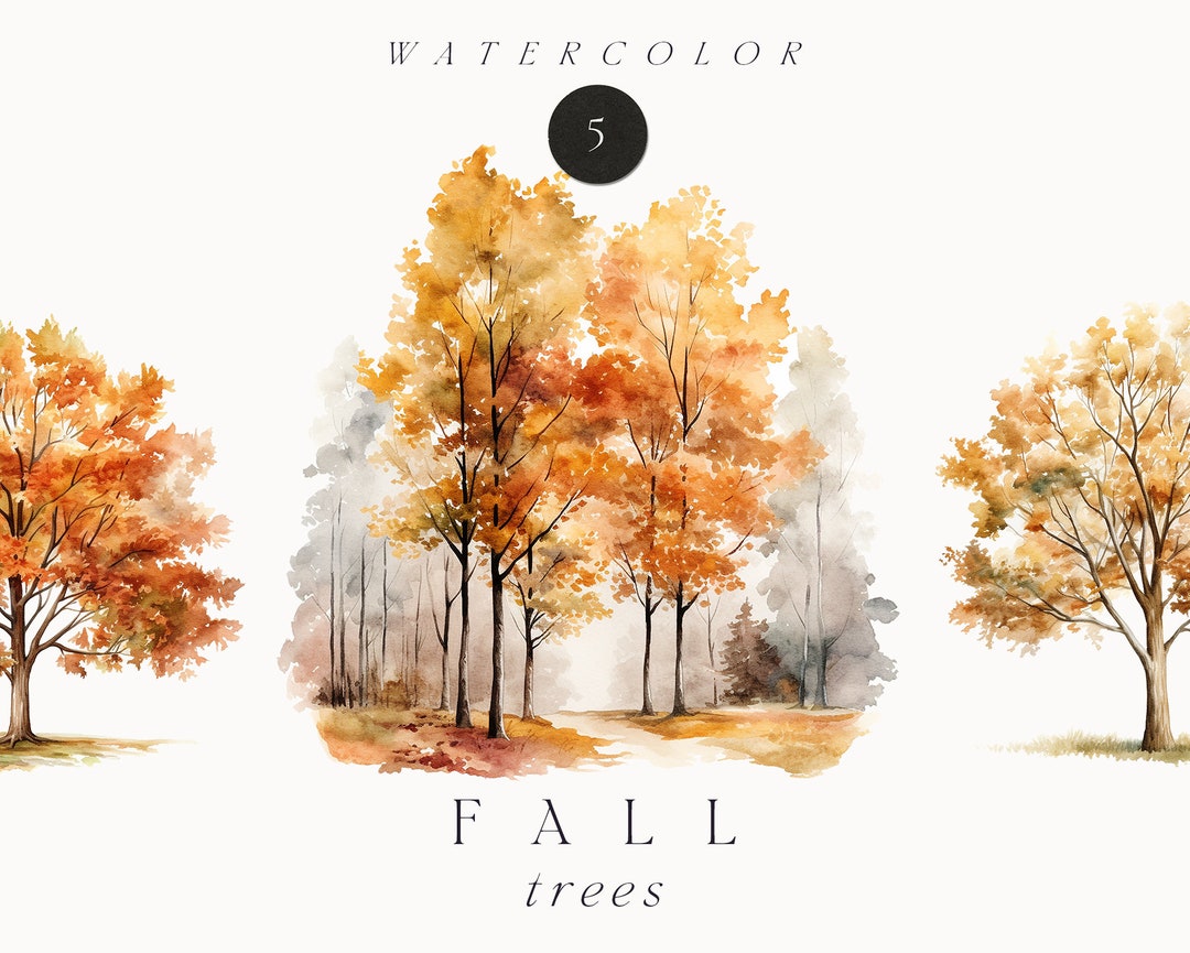 Watercolor Fall Clipart - Watercolor Fall Trees - Maple Tree Png ...