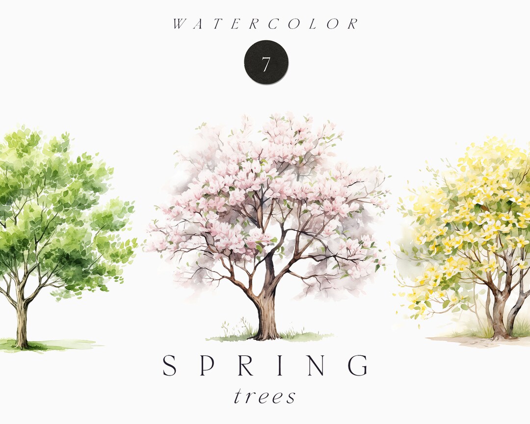 Watercolor Spring Clipart Png - Spring Trees Clipart - Spring Flowering ...