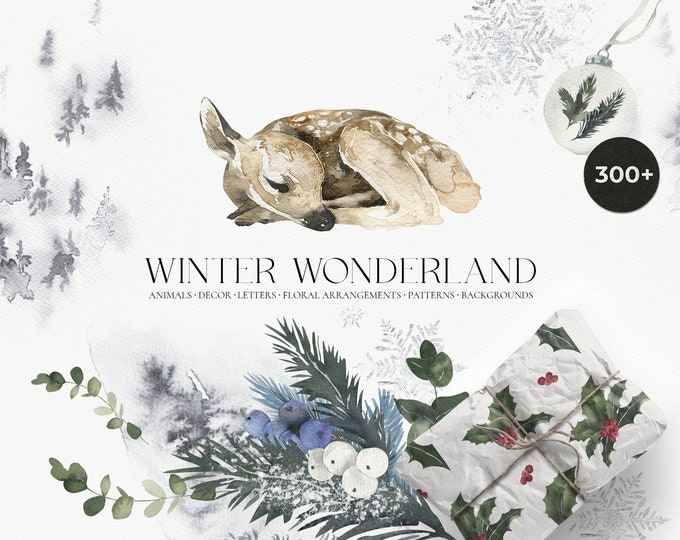 Evergreen - Winter Woodland Collection - Woodland Clipart - Winter ...