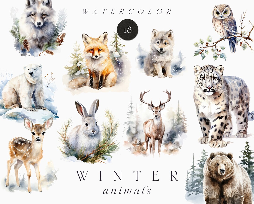 Watercolor Animals Clipart - Winter Animals Clipart Png - Woodland ...
