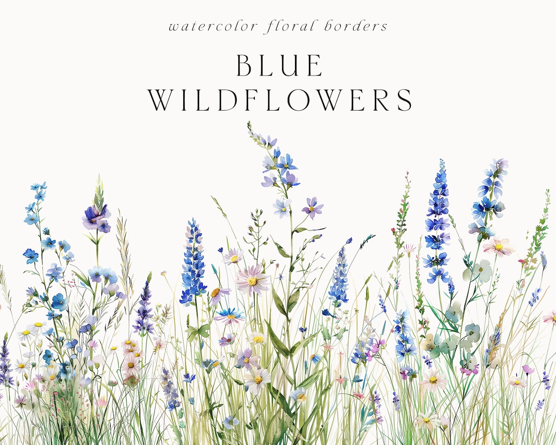 Watercolor Wildflowers Clipart - Blue Floral Border Png - Watercolor ...