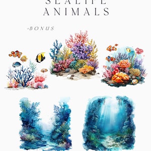 Sealife Animals Clipart - 35 Watercolor Underwater Ocean Animals Set ...