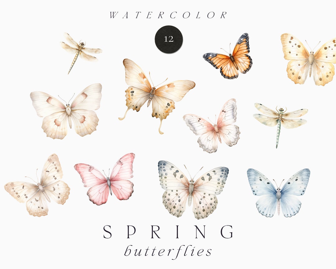 Watercolor Spring Clipart Png - Spring Butterflies - Watercolor ...