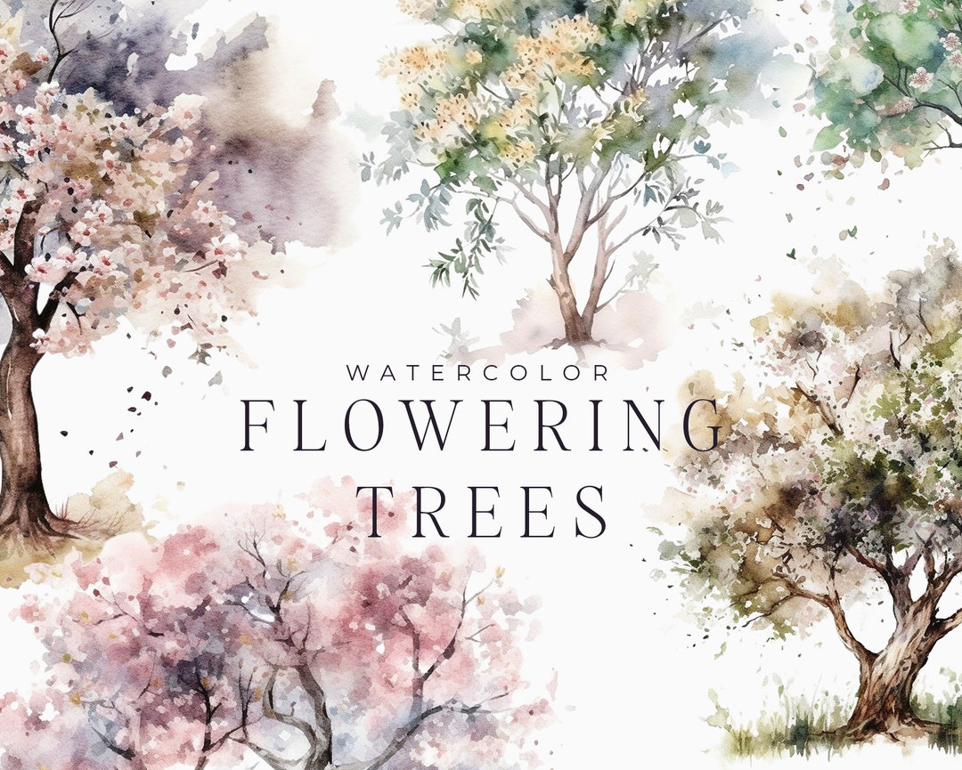 Watercolor Flowering Trees Clipart Png - Watercolor Summer Blossom Tree ...
