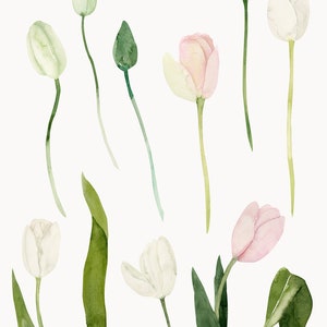 Watercolor Tulips Png Clipart - White Pink Tulip Flowers Clipart ...