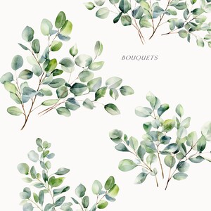 Watercolor Eucalyptus Clipart - Watercolor Greenery Clipart - Green ...