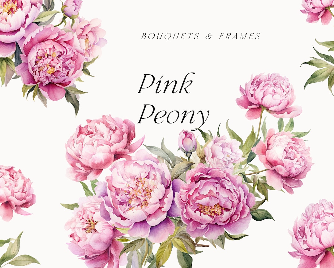 Watercolor Pink Peony Clipart - Watercolor Floral Clipart - Pink Peony ...