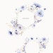 Watercolor Blue Floral Clipart - Winter Wildflowers Clipart Png - Blue ...