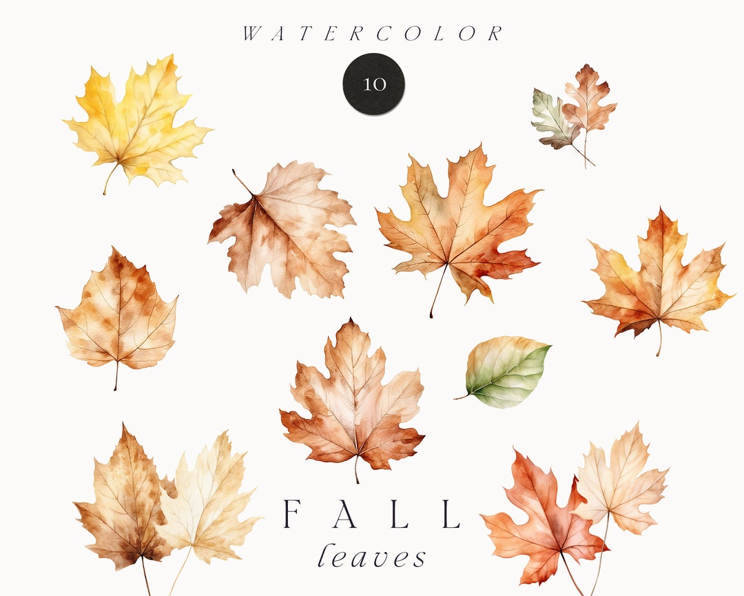 Watercolor Fall Clipart - Watercolor Fall Leaves - Maple Leaves - Fall ...
