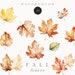 Watercolor Fall Clipart - Watercolor Fall Leaves - Maple Leaves - Fall ...