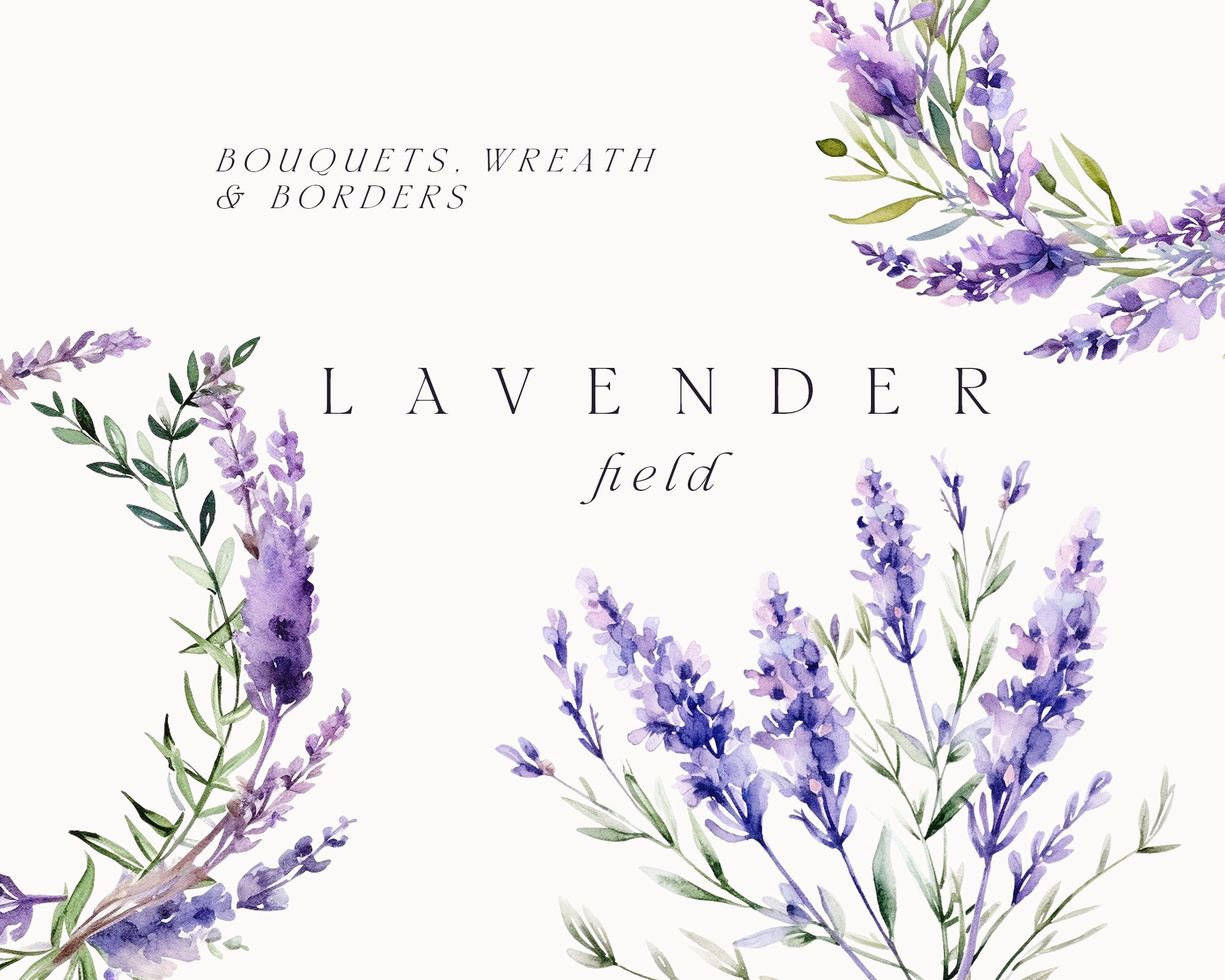 Lavender Flower Border