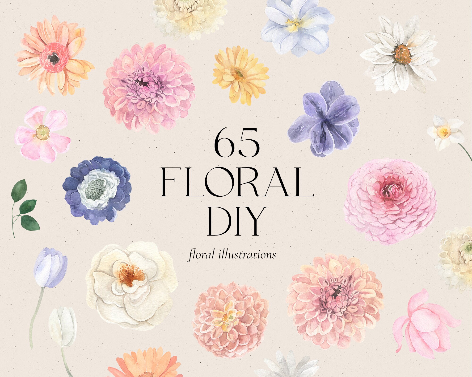 Pastel Flowers Watercolor Set Spring Summer Florals - Etsy