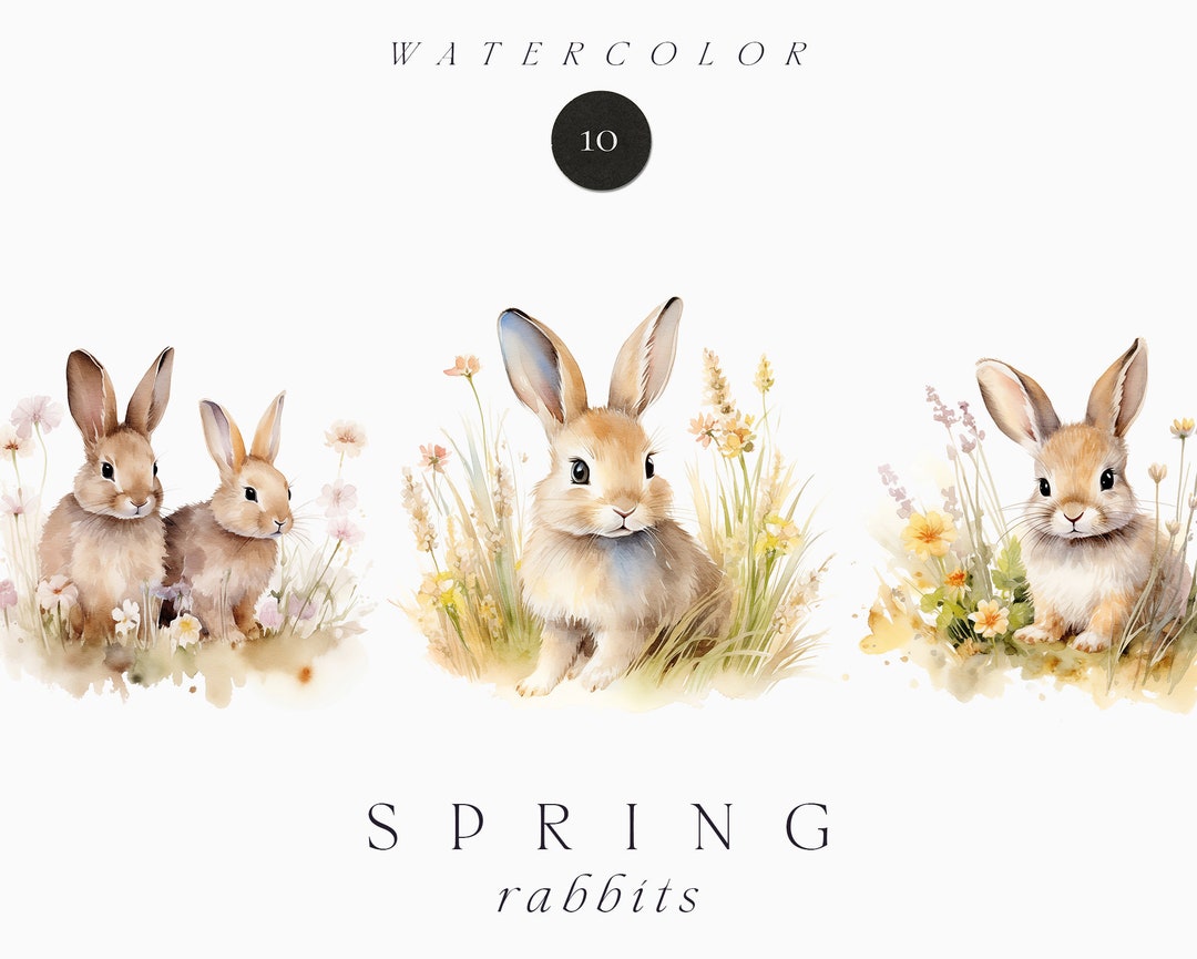 Watercolor Rabbits Clipart - Watercolor Bunny Clipart Png - Cute Easter ...