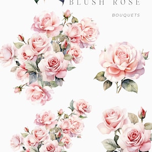 Watercolor Blush Roses Clipart - Watercolor Floral Clipart - Pink Rose ...