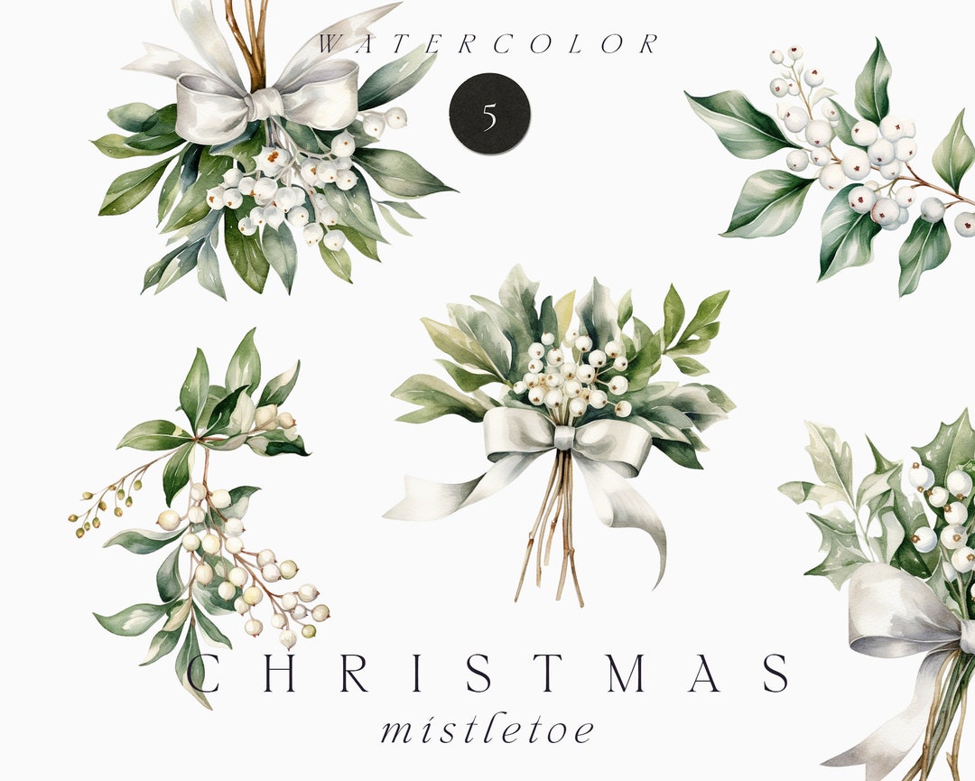 Watercolor Christmas Clipart - Watercolor Christmas Mistletoe ...