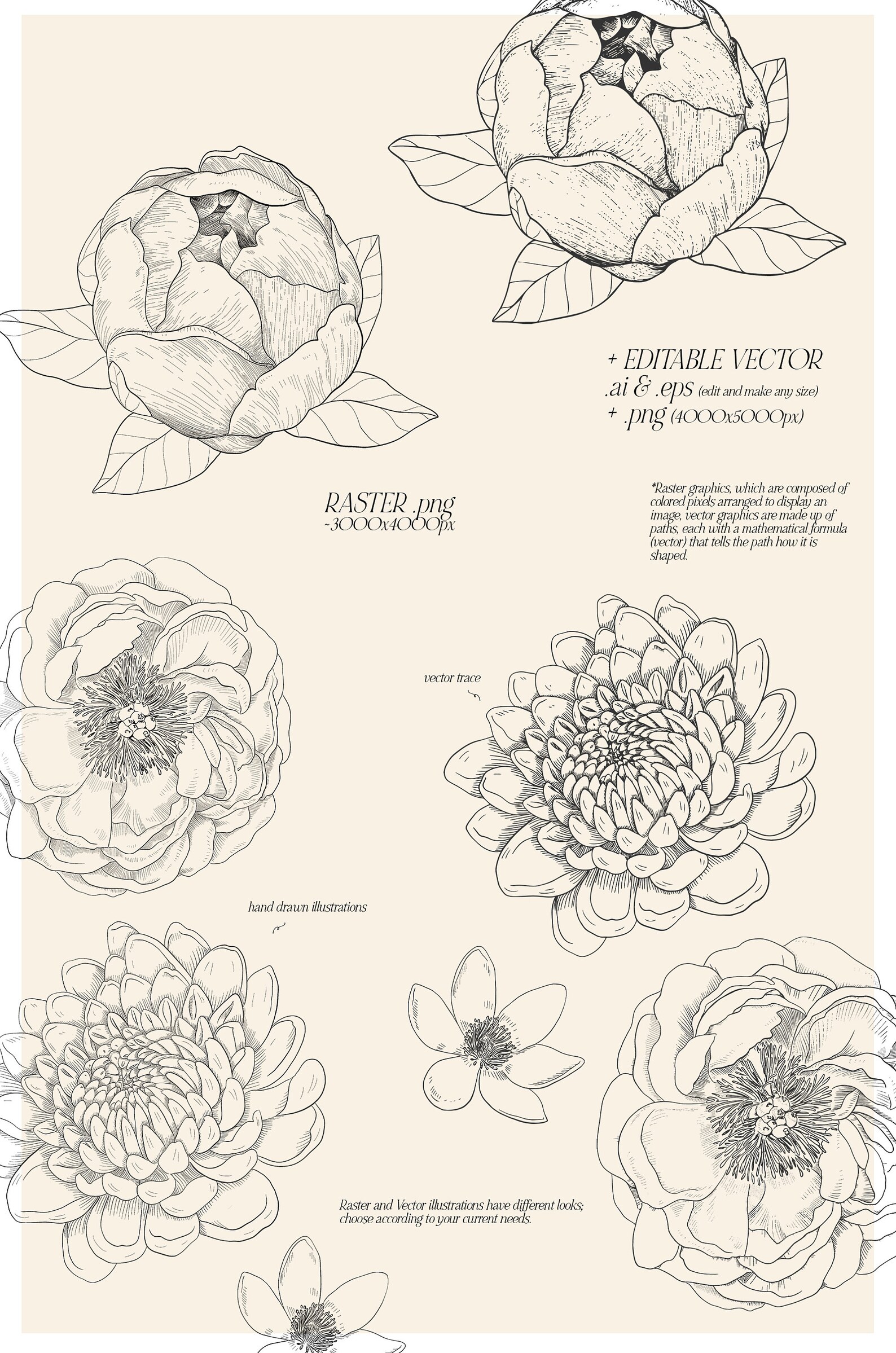 Line Art Flowers Clipart Line Drawing Floral Set One Line Detailed ...