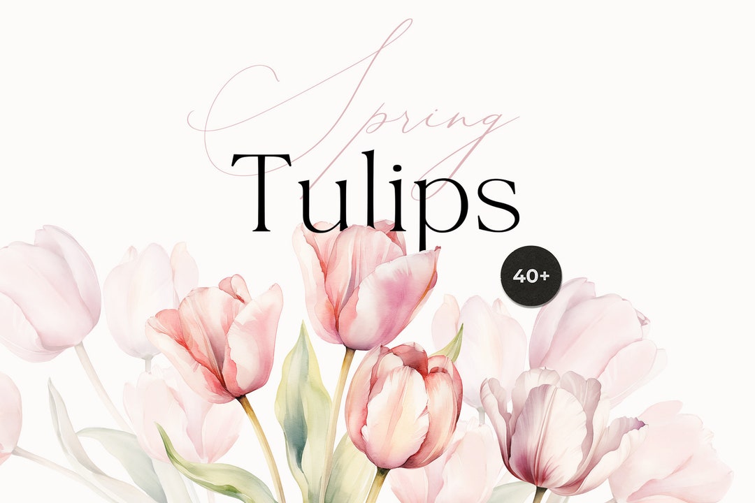 Watercolor Tulips Clipart - Watercolor Floral Clipart Png - Watercolor ...