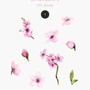 Watercolor Sakura Png Clipart - Cherry Blossom Flowers Clipart - Spring ...