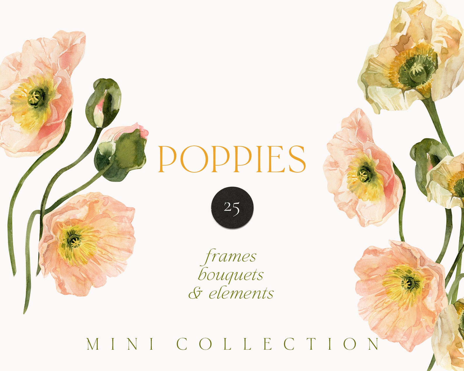 Watercolor Poppies Png Clipart Neutral Iceland Poppy Flowers - Etsy