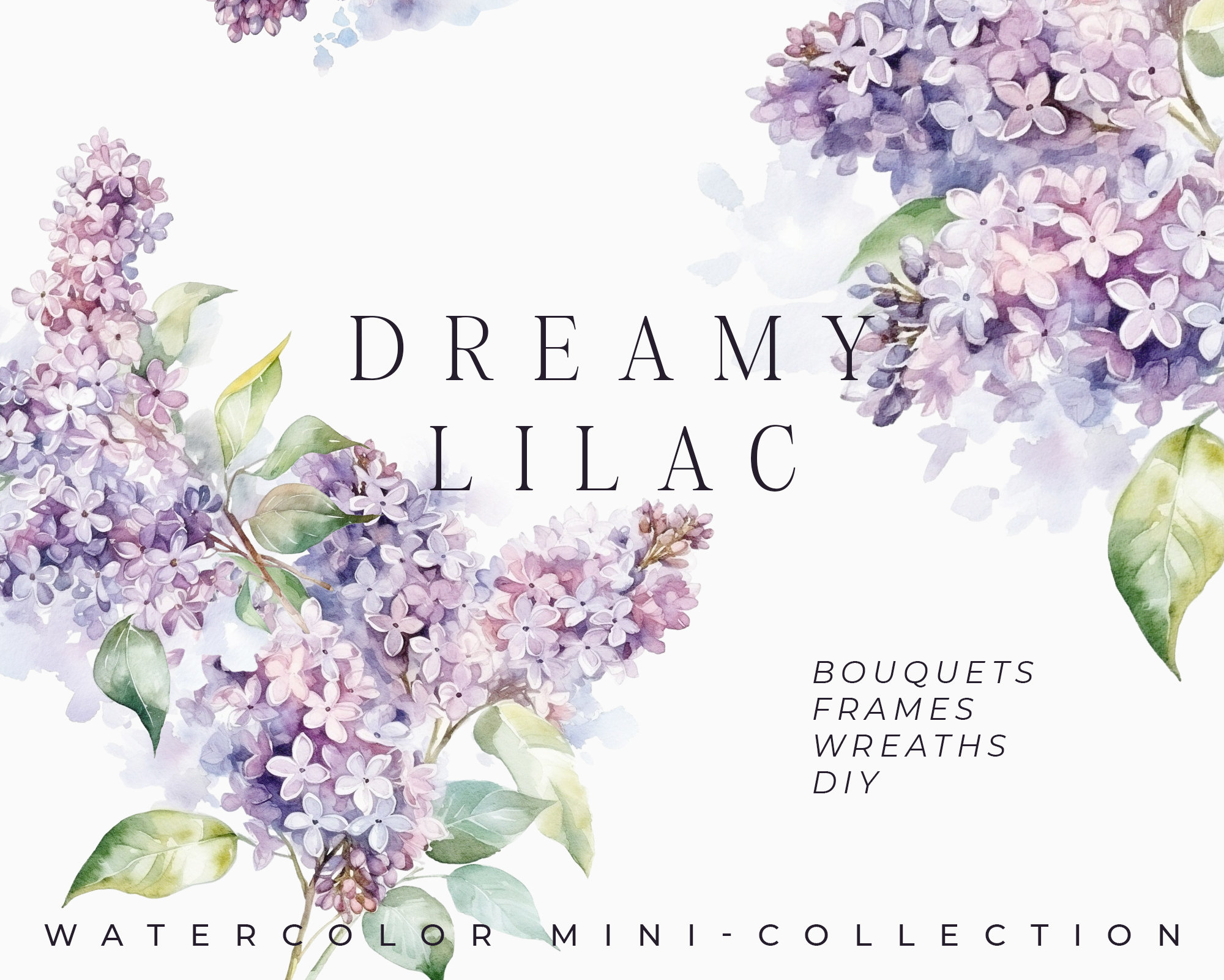 Lilac Flower Clip Art