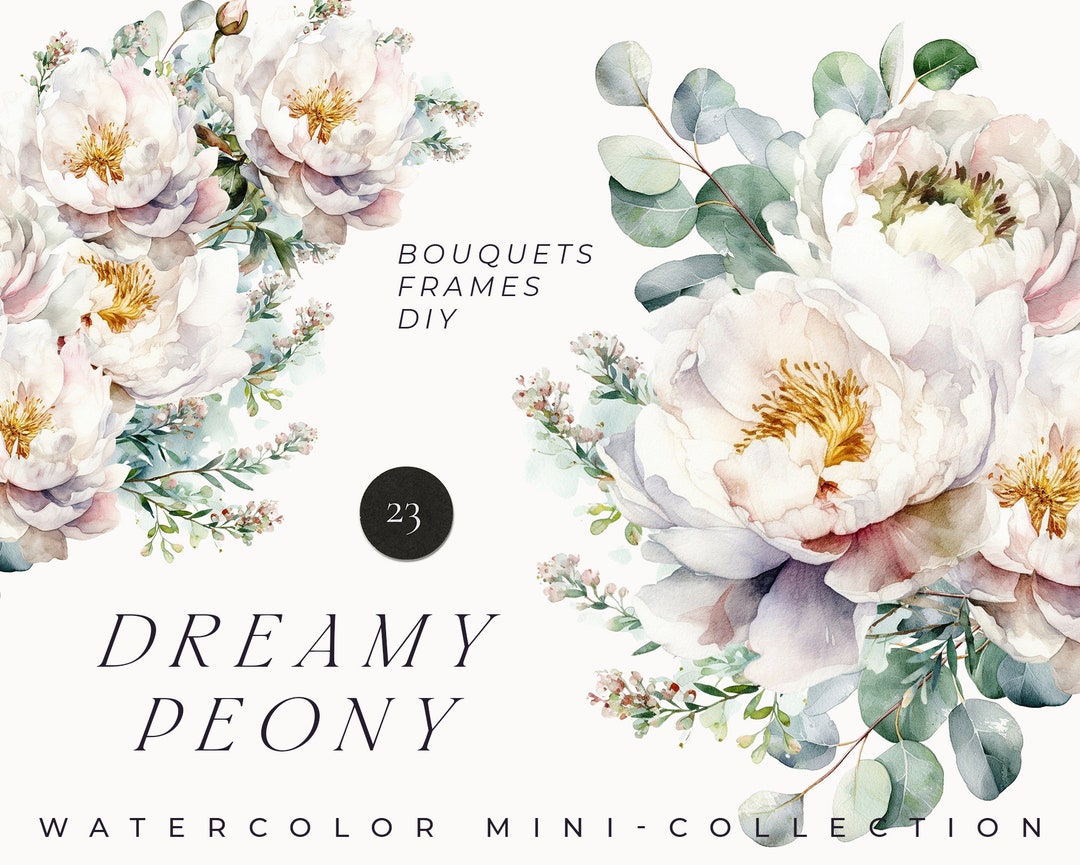 Watercolor Peony Floral Clipart - Dreamy White Peony Flowers Png ...