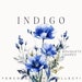 Watercolor Floral Clipart - Watercolor Indigo Blue Floral Clipart Png ...