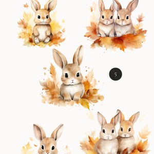 Watercolor Fall Clipart Fall Bunny Clipart Autumn Clipart Png Baby ...