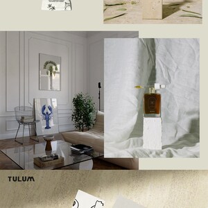 TULUM - Boho Tropical Clipart - Brand Design Kit - Symbols Png for Logo ...