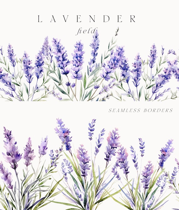 Lavendel Grenze Clipart Lavendel Afbeeldingen Gratis Downloaden Op