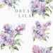 Watercolor Lilac Floral Clipart Purple Flowers Png Watercolor Flowers ...