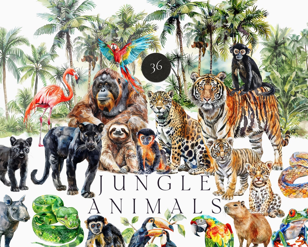 Jungle Animals Clipart - 36 Watercolor Tropical Animals Set - Wild ...