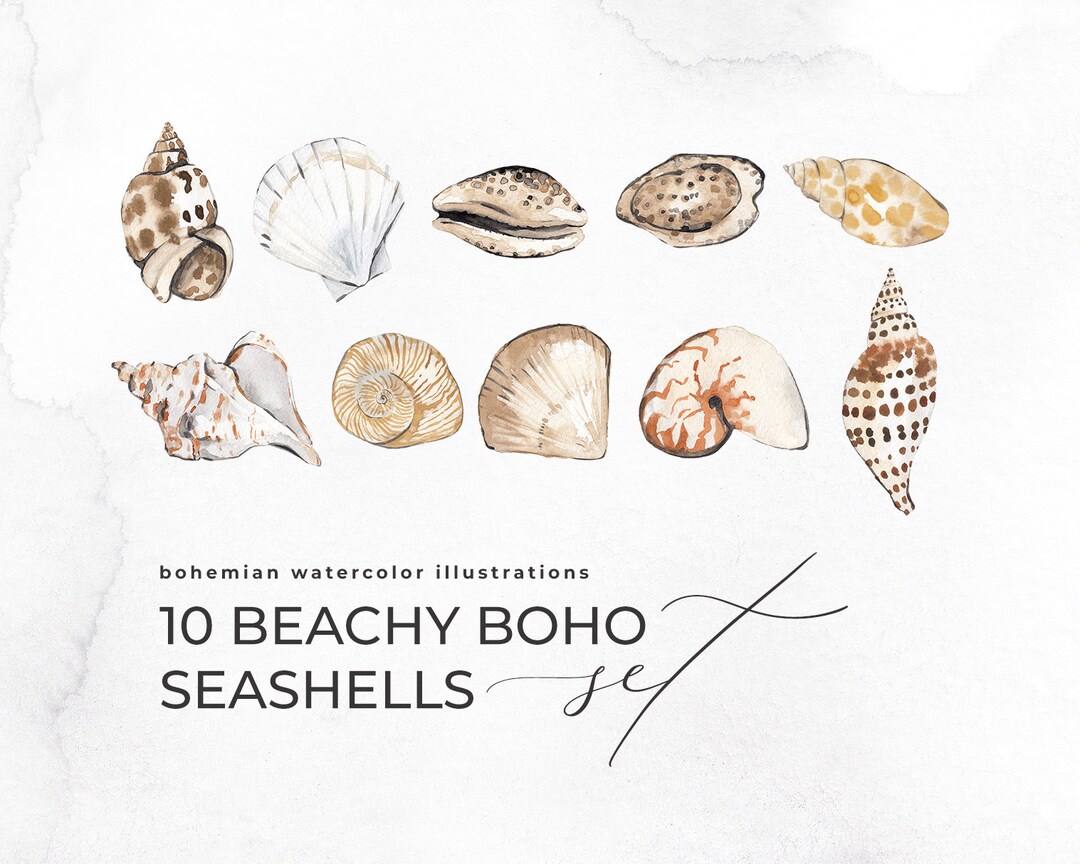 Watercolor Shells Set, Beachy Boho Seashells, Nautical, Ocean, Sea ...