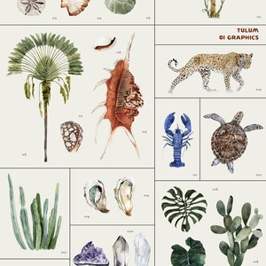 TULUM - Boho Tropical Clipart - Brand Design Kit - Symbols Png for Logo ...