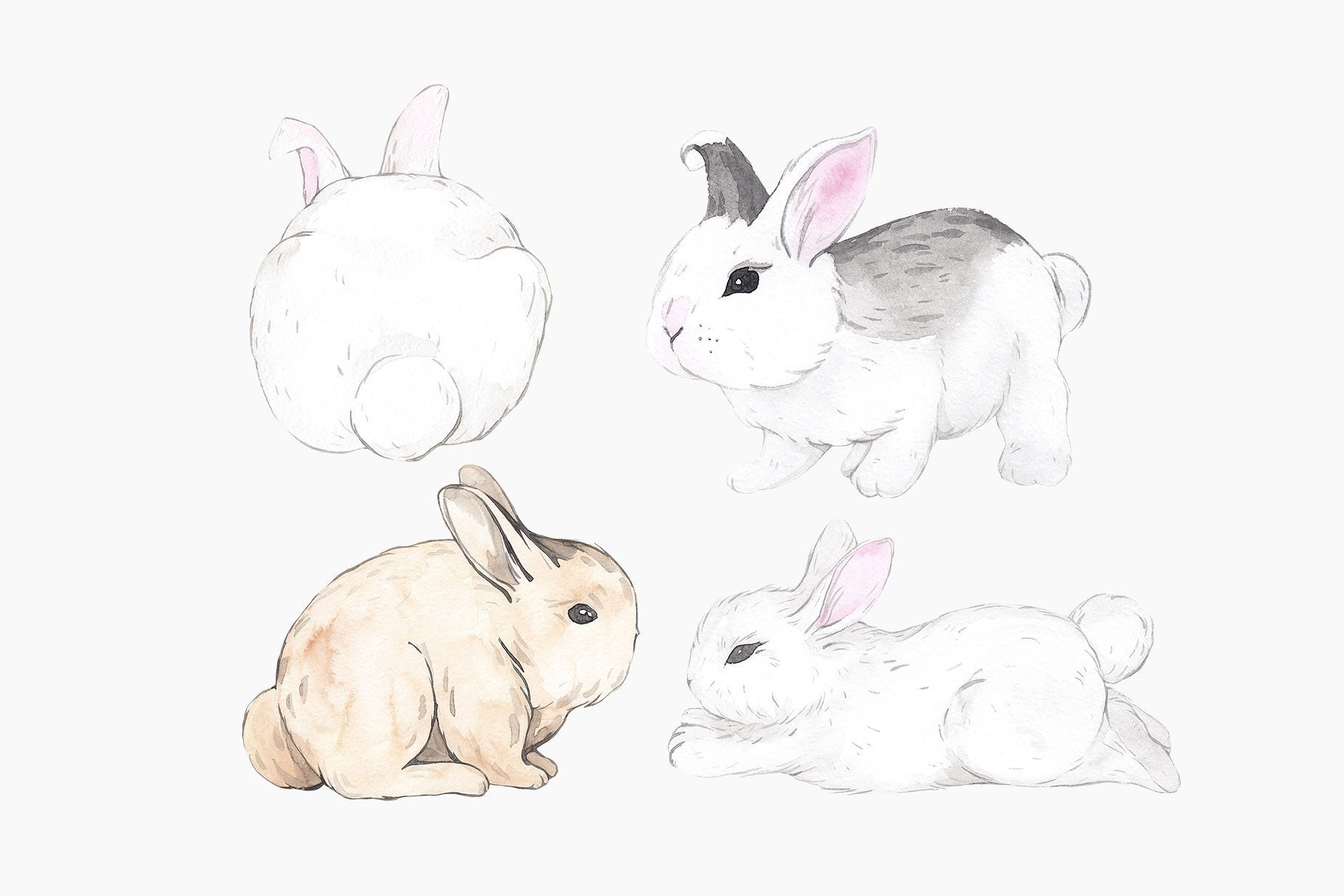 Watercolor Bunny Set Cute Rabbits Clipart Easter Rabbits - Etsy