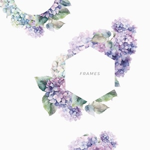 Watercolor Hydrangea Floral Clipart - Dreamy Purple and Blue Hydrangea ...