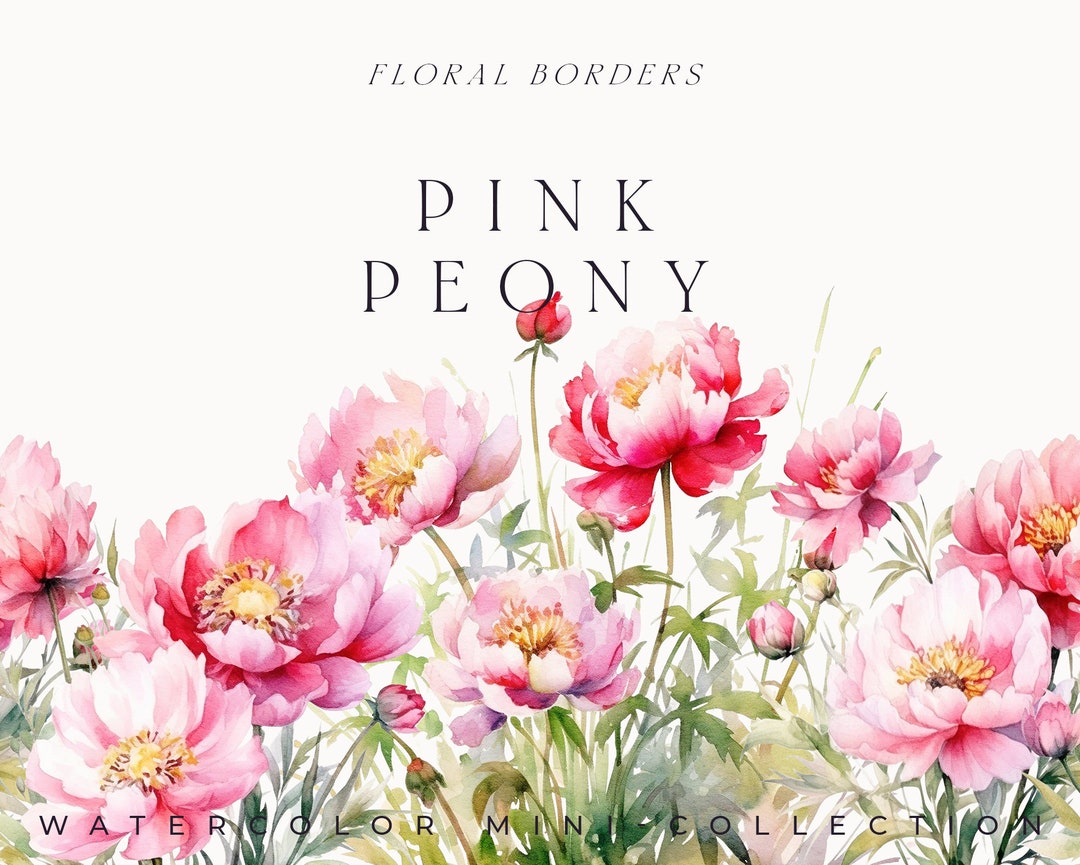 Watercolor Peony Clipart - Watercolor Floral Clipart - Pink Peony ...