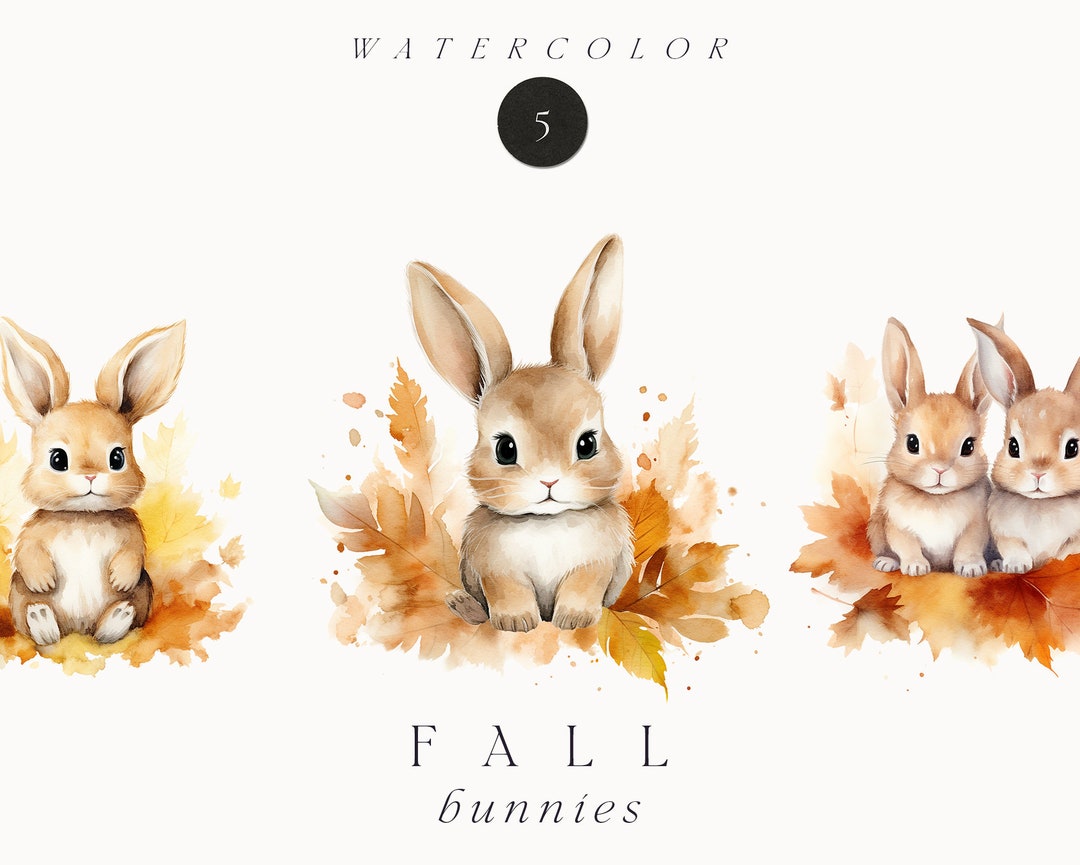 Watercolor Fall Clipart Fall Bunny Clipart Autumn Clipart Png Baby ...