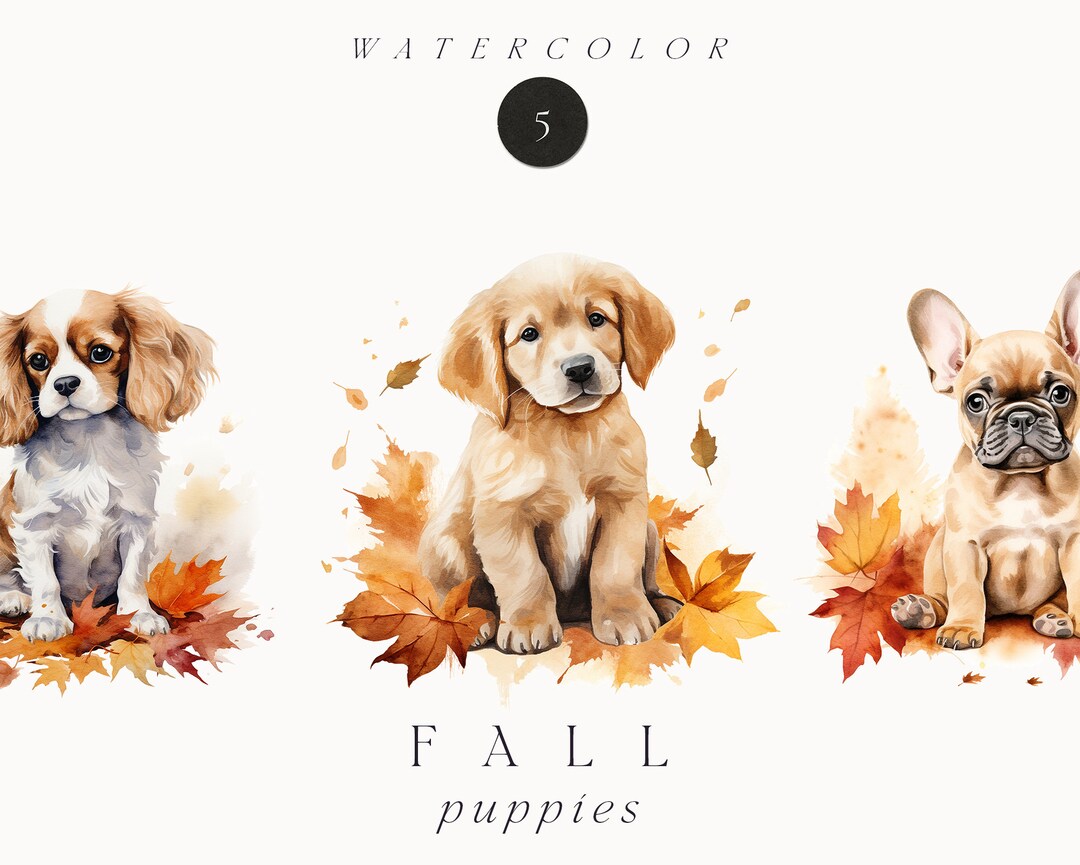 Watercolor Fall Clipart - Fall Puppies Clipart - Autumn Clipart Png ...