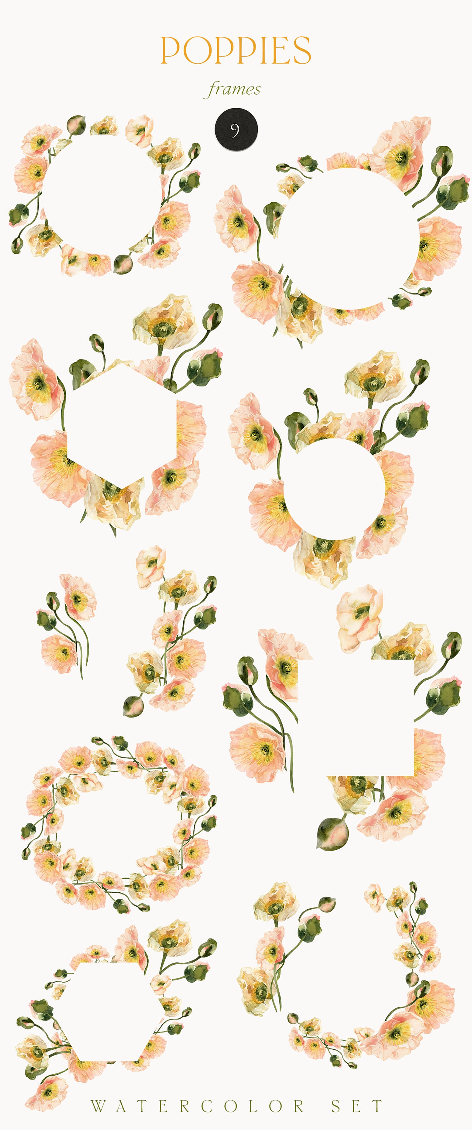 Watercolor Poppies Png Clipart Neutral Iceland Poppy Flowers - Etsy