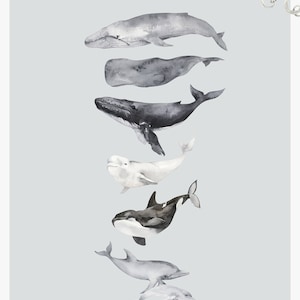 Ocean Animals Clipart - Watercolor Underwater World - Sea Plants ...