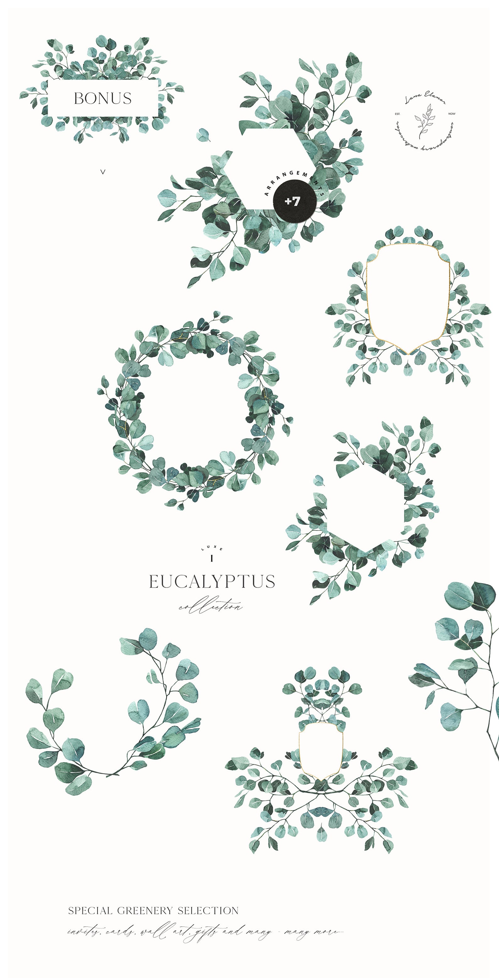 Eucalyptus Watercolor Set Greenery Clipart Foliage Set - Etsy