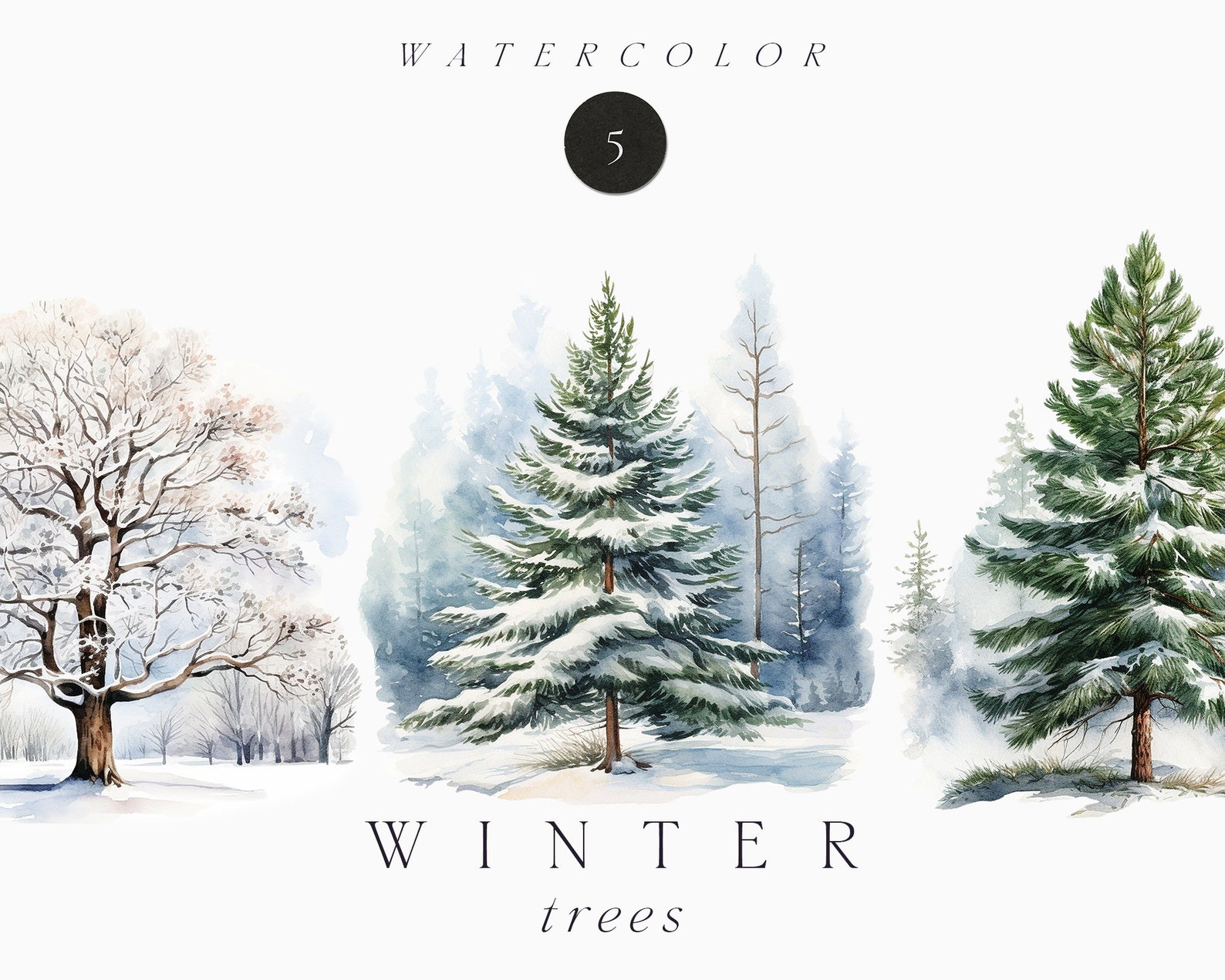 Watercolor Winter Clipart Watercolor Winter Trees PNG Watercolor Christmas Clipart Pine Fir Tree ...