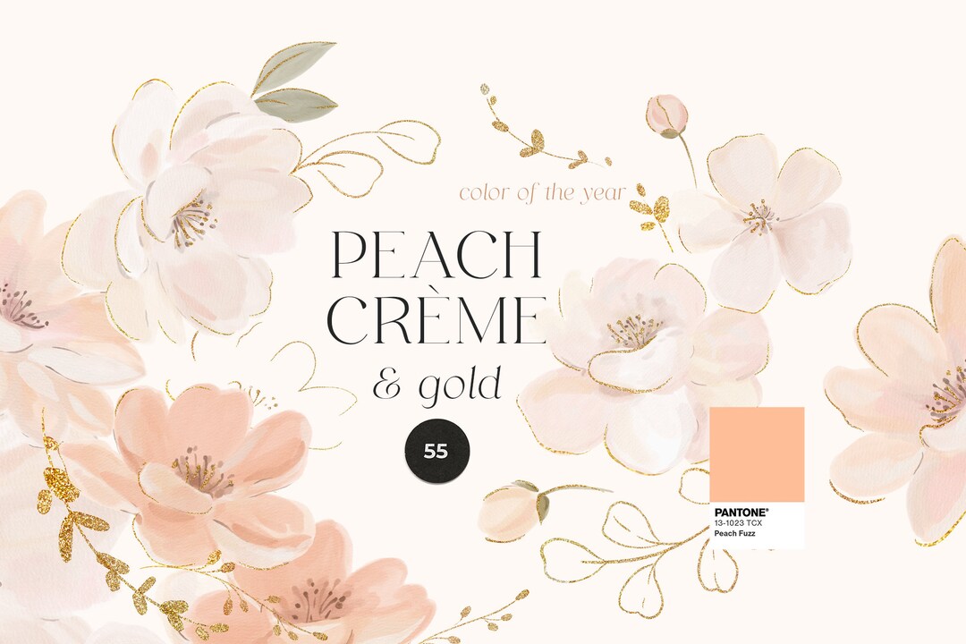 Watercolor Floral Clipart - Peach Fuzz Flowers - Blush Flowers Png ...