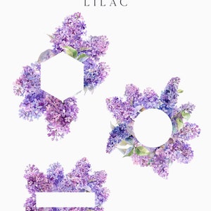 Watercolor Lilac Clipart - Watercolor Floral Clipart Png - Purple Lilac ...
