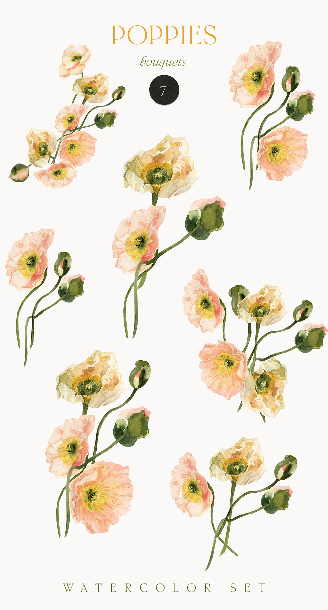 Watercolor Poppies Png Clipart Neutral Iceland Poppy Flowers - Etsy