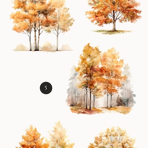 Watercolor Fall Clipart - Watercolor Fall Trees - Maple Tree Png ...