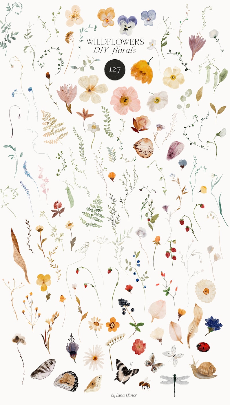 Watercolor Floral Clipart Wild Flowers Clipart Dainty - Etsy