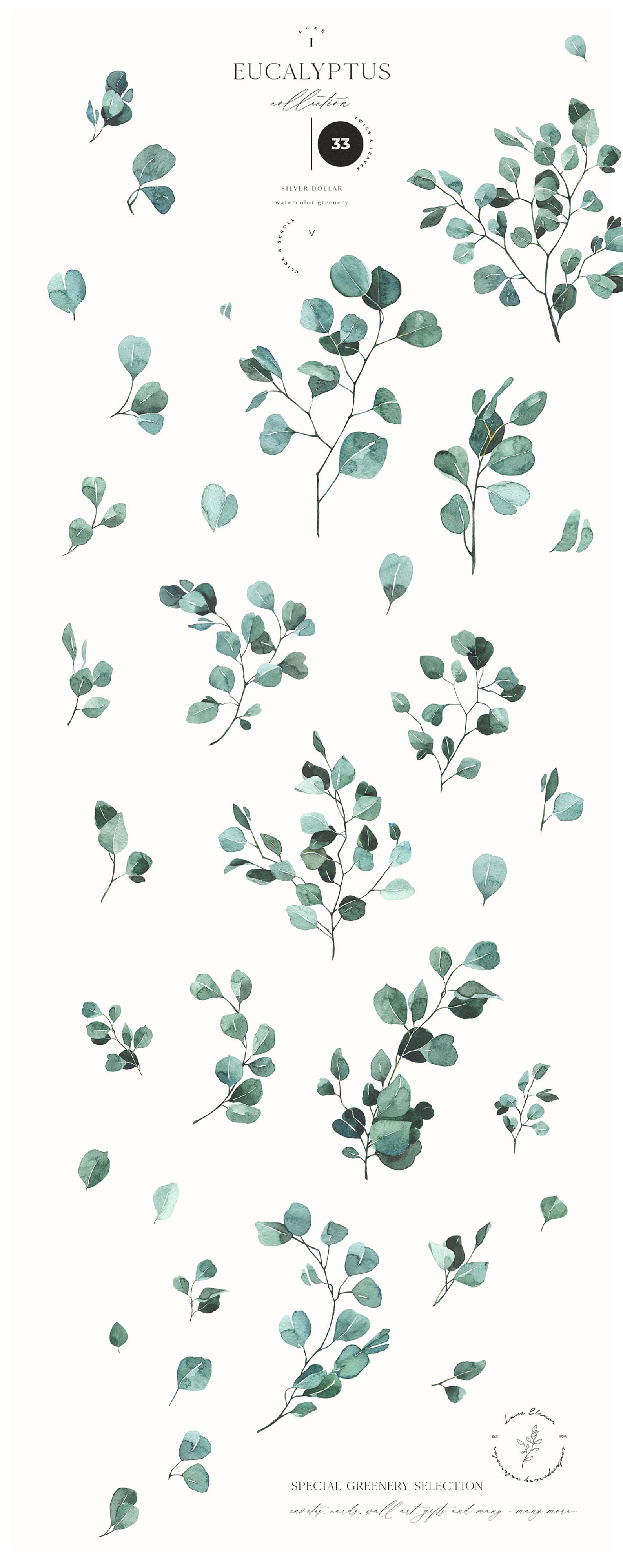 Eucalyptus Watercolor Set Greenery Clipart Foliage Set - Etsy